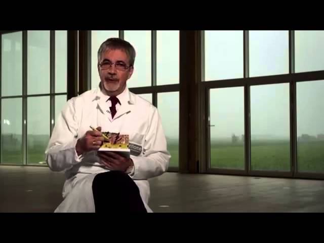 Все секреты о Вэлнэс от Орифлейм