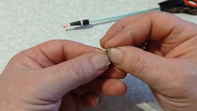 Насаживаем опарыша на мормышку