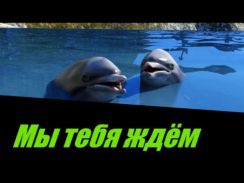 Радостные акулы. Солнечная любовь. ( Sunshine Love ) #29.mp4