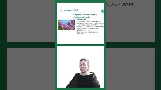 Сирень и ее свойства #фитотерапия