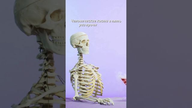 Факт про ваши кости 🦴
