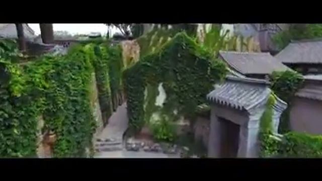 Живи и мечтай