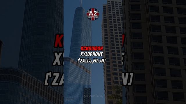 Учим 5 английских слов в день.