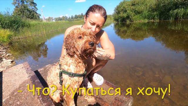 Лето. Август. Жара. 2023.