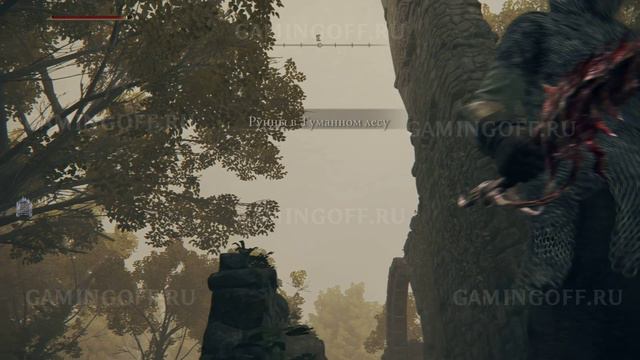 Блайд Полуволк, первая встреча — где найти Elden Ring