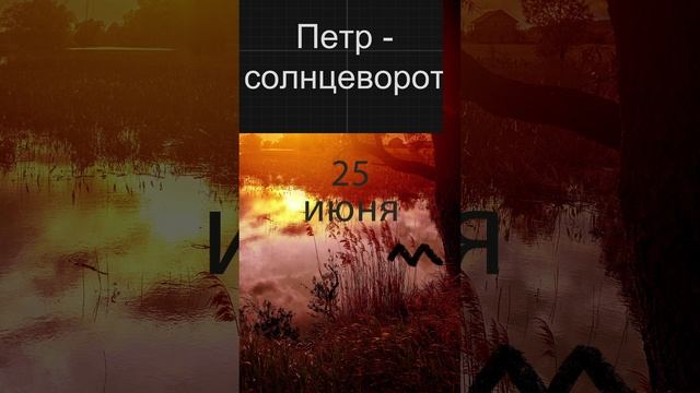 Петр солнцеворот