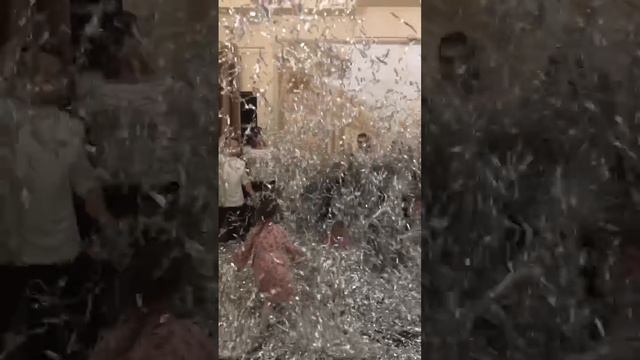 Поняшка и Серебро шоу