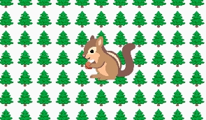 Кормили белочку. 🌲🐿️