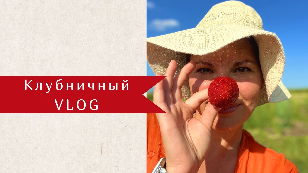 Моя клубника: успехи и трудности, сорта и сбор урожая!