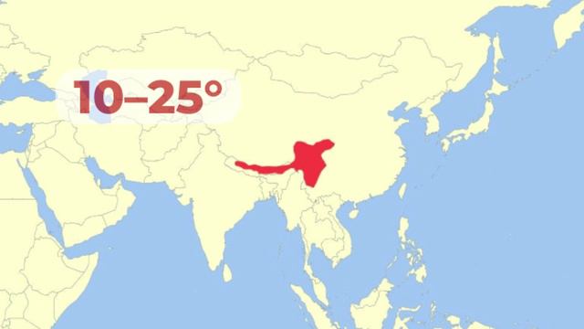 Красная_панда