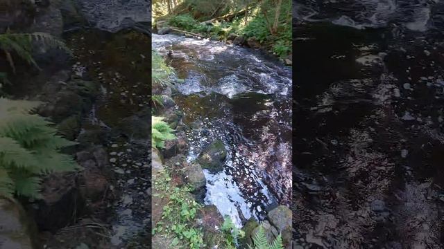 Долина водопадов 🌊