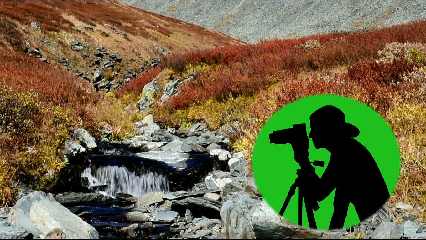 Звонкое журчание ручья в горах / Успокаивающие звуки природы для крепкого сна и снятия стресса