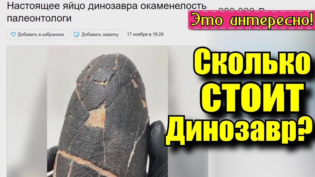 Сколько стоит динозавр? Где находят древних ящеров? И можно ли купить доисторическую легенду?