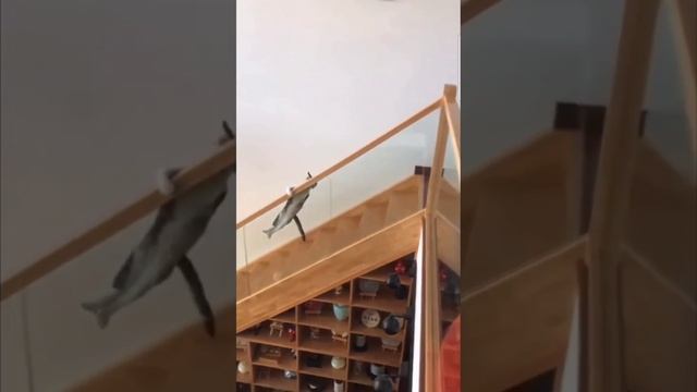 Эх прокачу, да с ветерком!