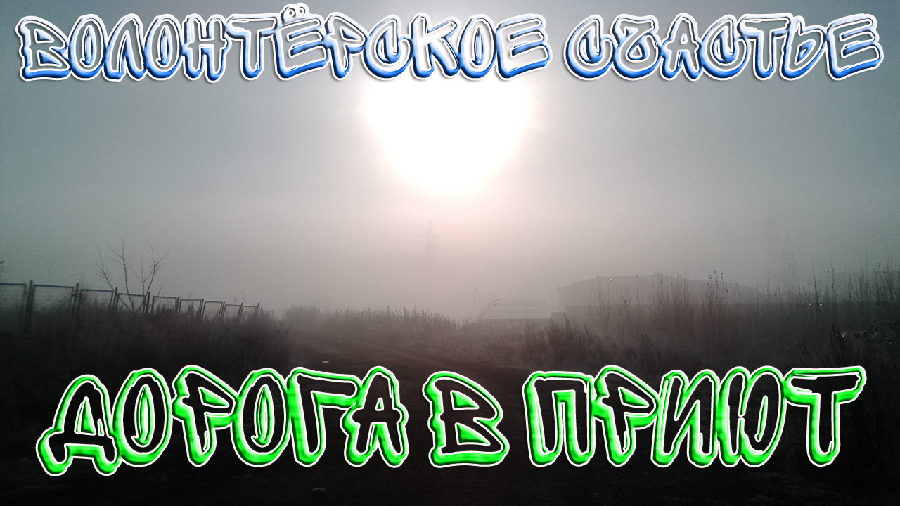 Подготовка к первой поездке в приют для собак / Волонтерское счастье / Кинология / Зоопсихология