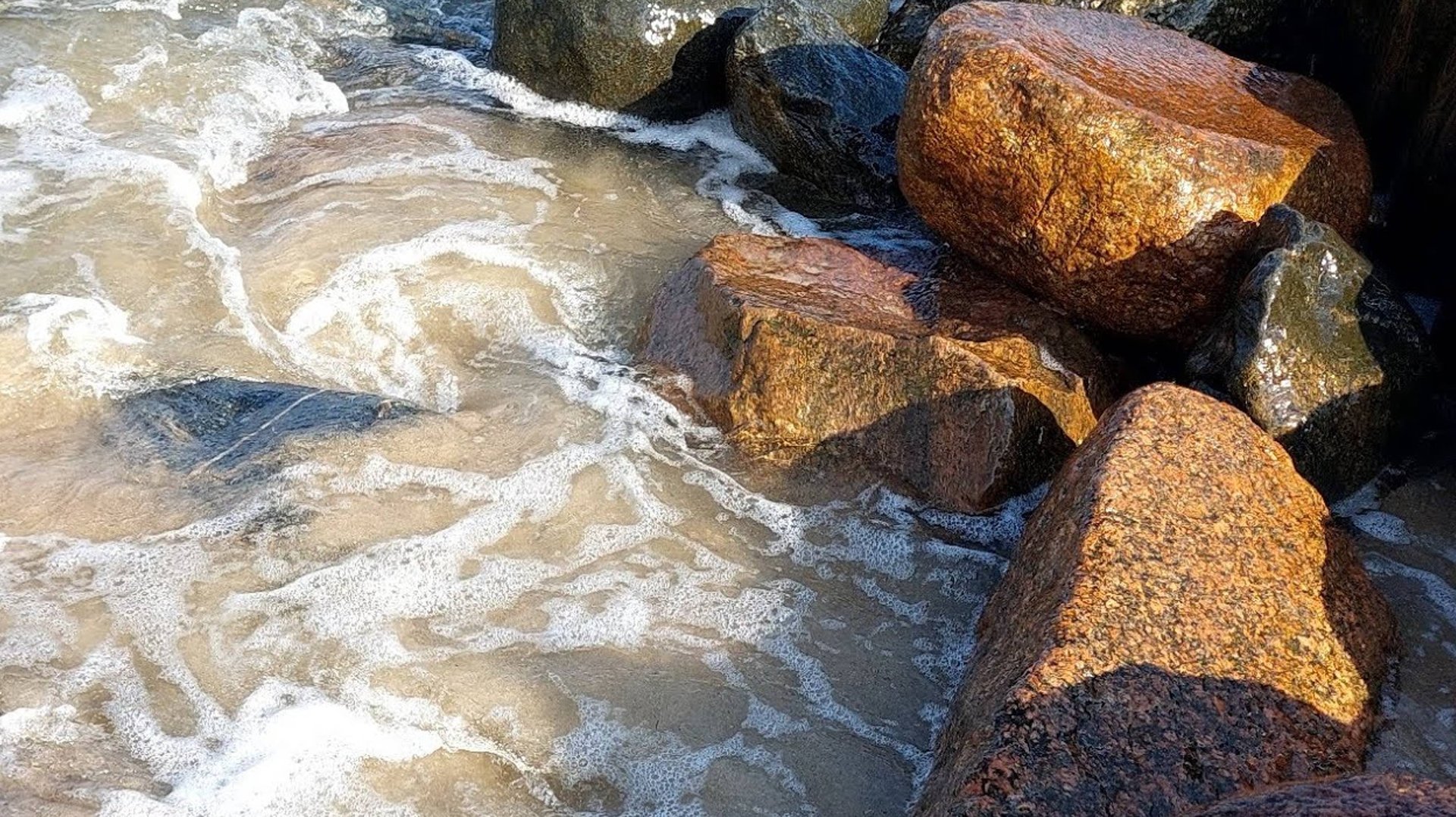 Мой отпуск. Зеленоградск. Море. Балтика. Пляж. Люди!