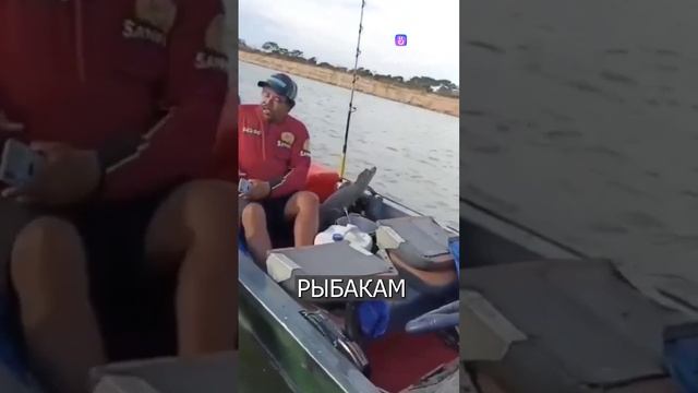 Рыбаки и Крокодил ????