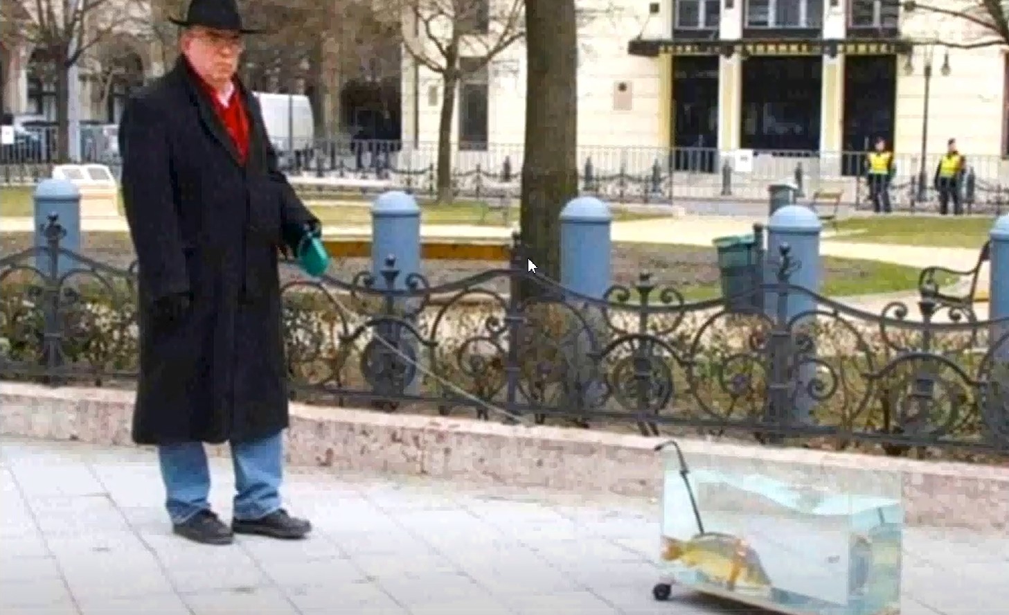 Рыбка на прогулке