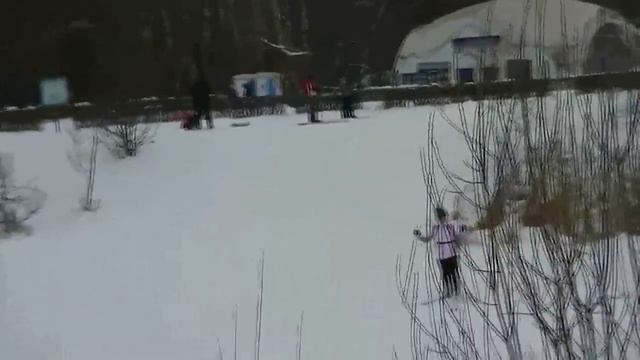 Воробьиный грай зимой в Кусково 2017