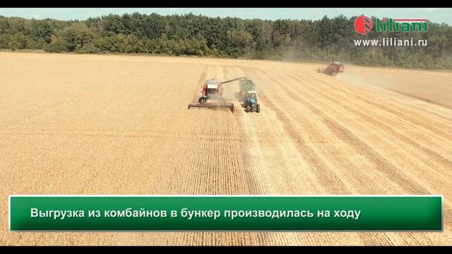 Безостановочная уборка в ЗАО АГРОТЕК-ПОДГОРЕНСКАЯ. Воронежская область