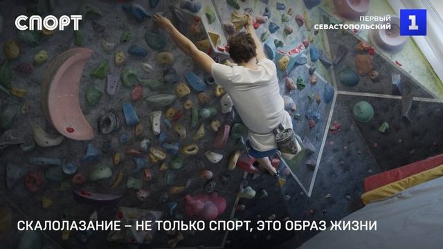 Скалолазание: спорт, который прокачивает все мышцы