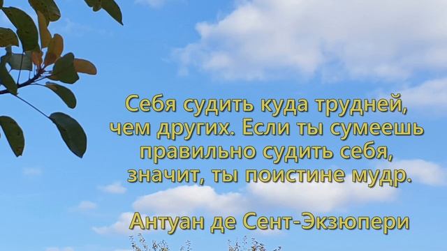 Светлячки_ № 1