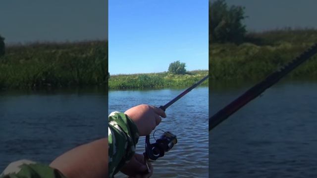 А вы ловите рыбу, чтобы семья ела?