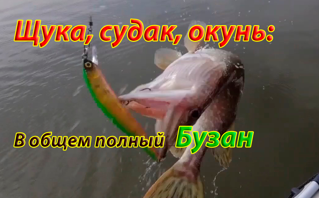 Отличная рыбалка на Бузане: судак, щука, окунь.