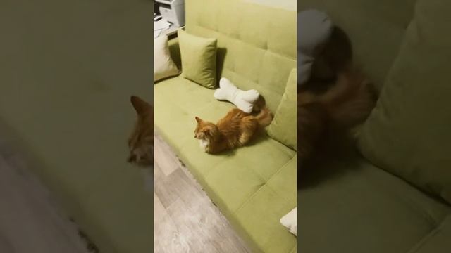 Мурзилка и луна