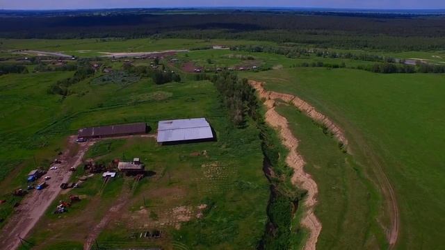 тополь и рябина