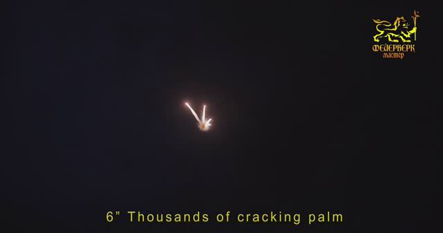 6” Thousands of cracking palm