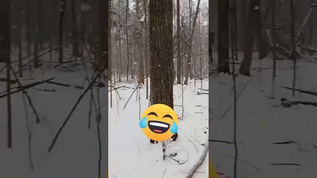 Анекдот про американца в серой шубе