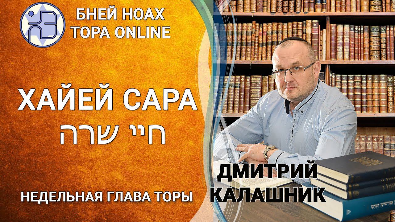 Недельная глава ХАЙЕЙ САРА || Дмитрий Калашник || 5782