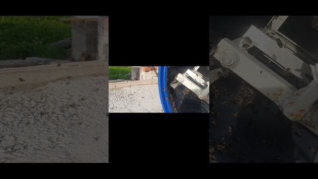 Как намыть медогонку#пчелавод