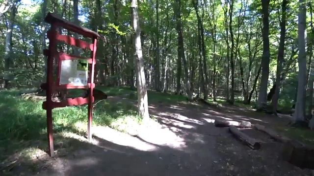 Стрижамент часть 1. Идем на гору.