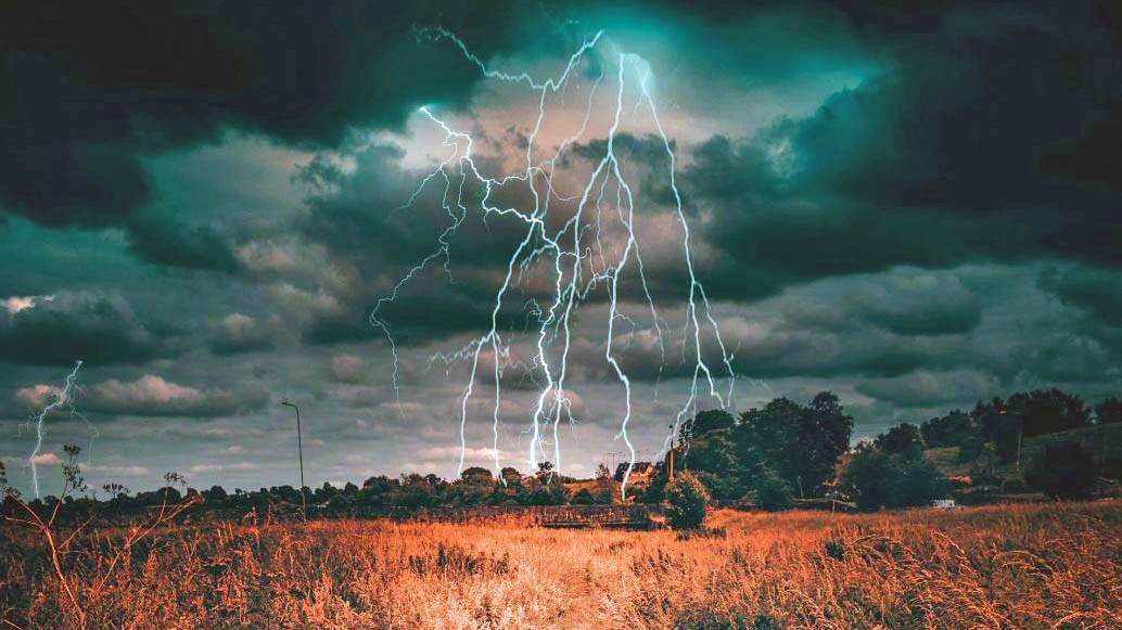 Не сажайте в саду эти три дерева, если не хотите получить молнию. Безопасность человека.