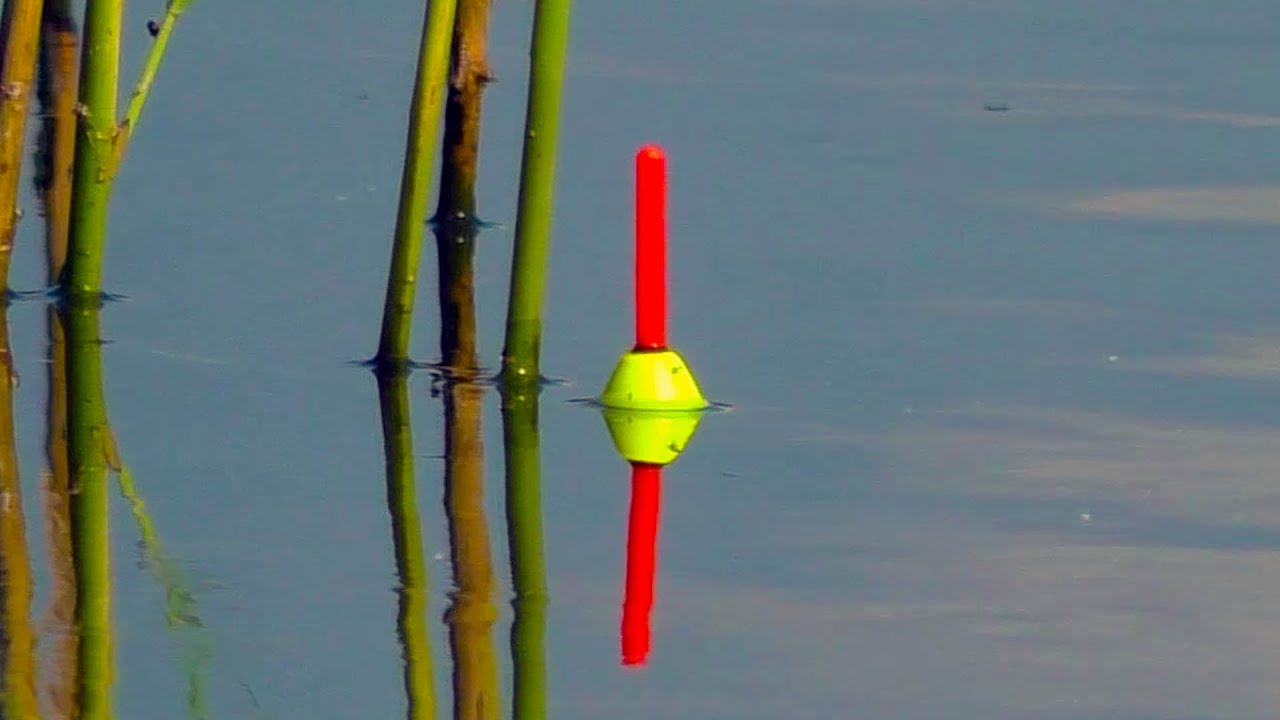 Приплыли туда где никто не ловил. Карась на поплавок.mp4