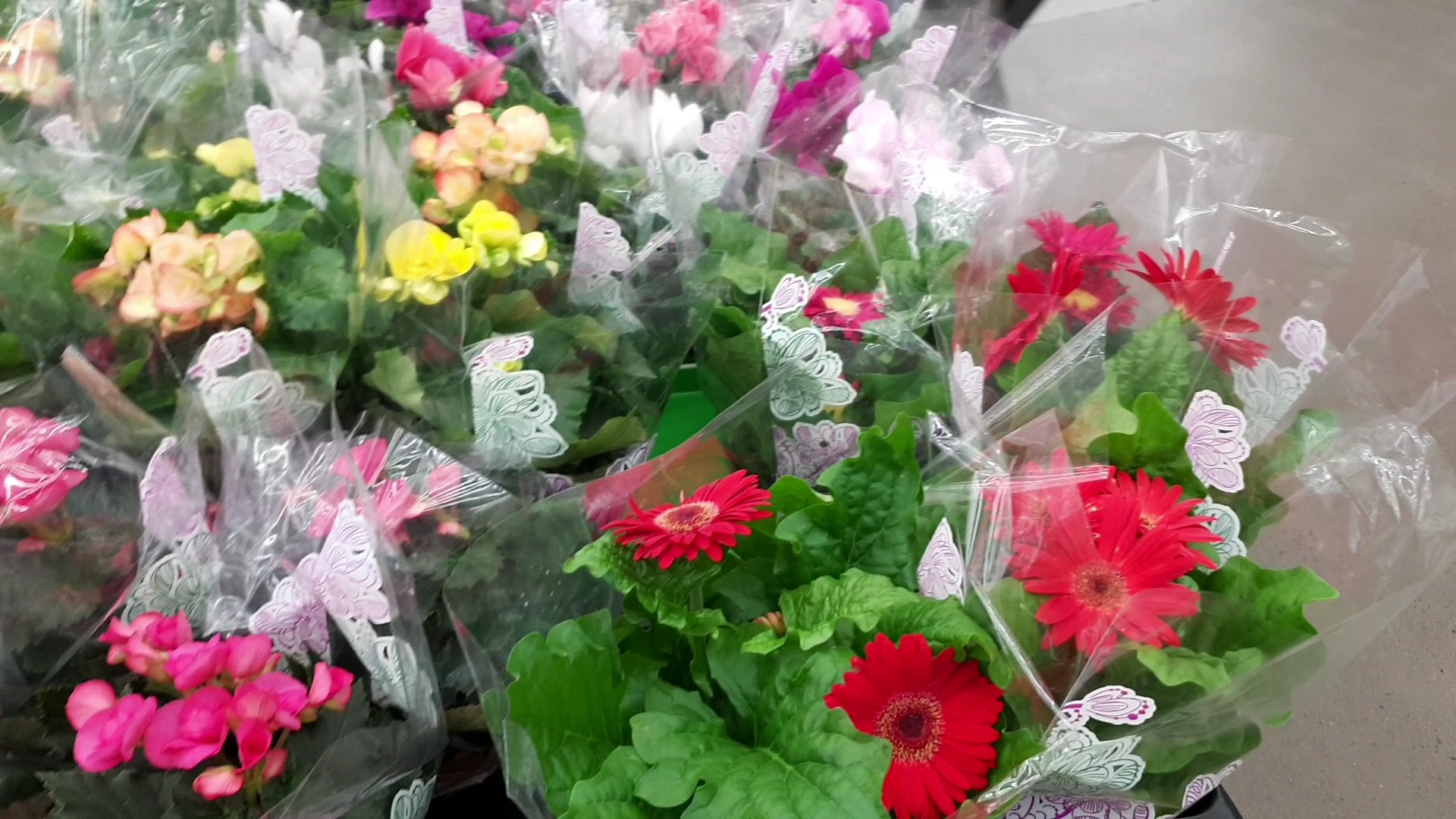 ?АШАН?ЦВЕТЫ??