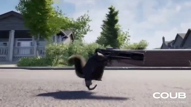 Белка с ружьем