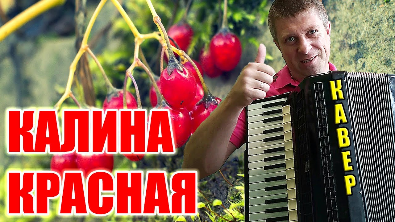 Калина красная на аккордеоне (COVER) Аccordion music