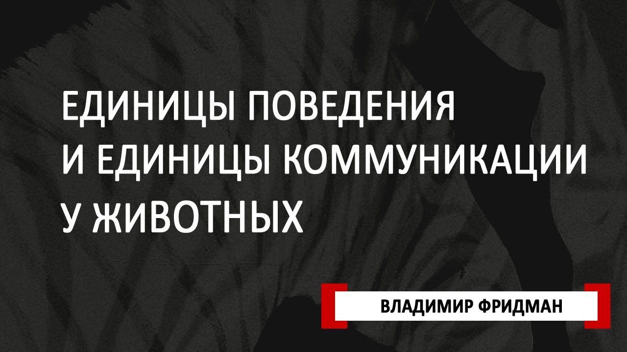Единицы поведения и единицы коммуникации у животных
