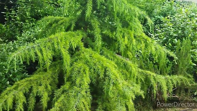 Ялта-23. 1 серия .mp4