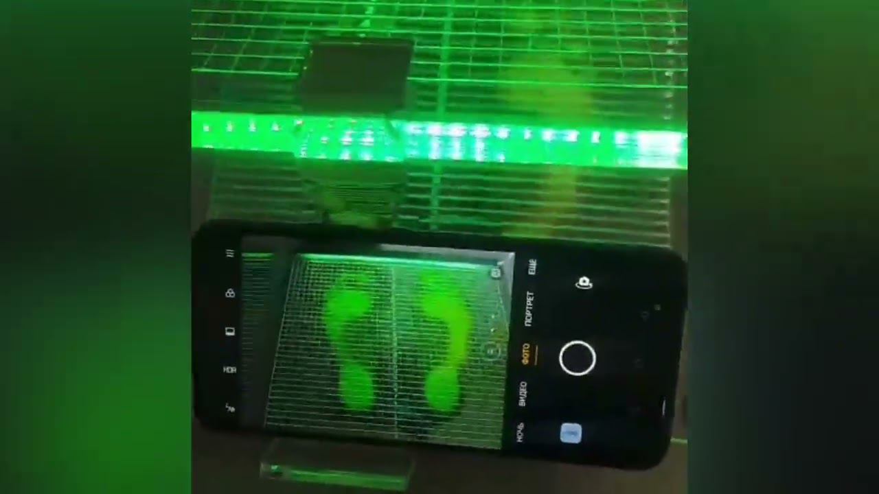 Подоскоп (плантоскоп, плантограф, плантоскан) из 15 мм акрила от производителя.