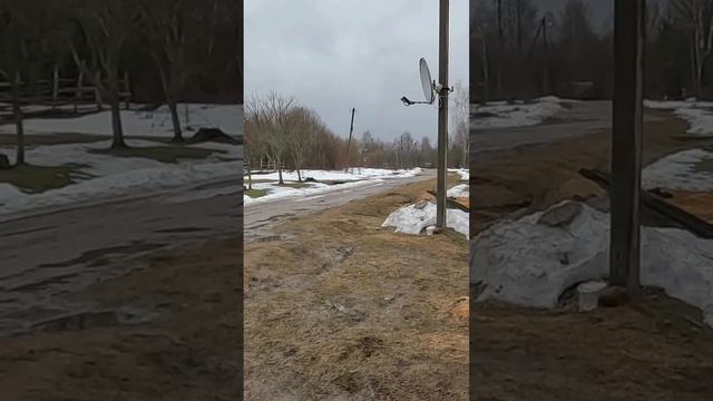 Лужи, весна в деревне