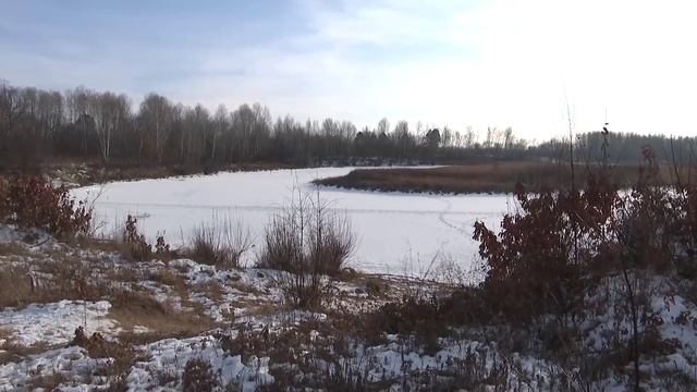 "Социальный приют на ДВ-гектаре"/ ГТРК "Дальневосточная"