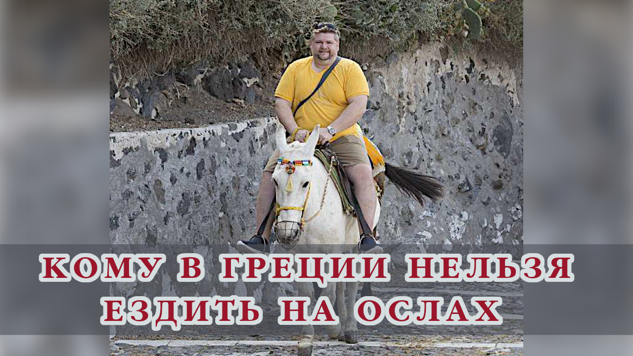 Кому в Греции нельзя ездить на ослах Необычные запреты для туристов