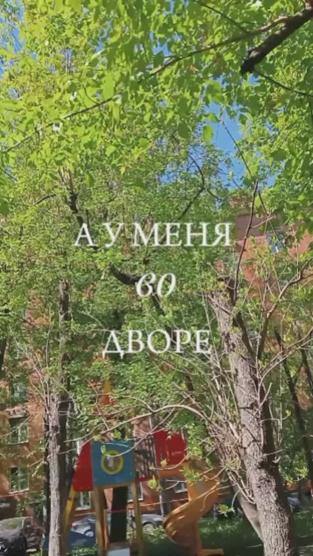 Мой двор 🌳