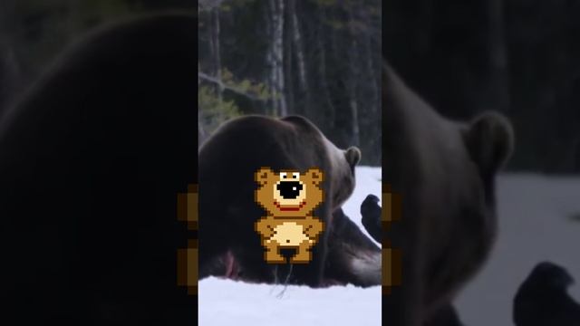 Мишкин стендап.Часть 3