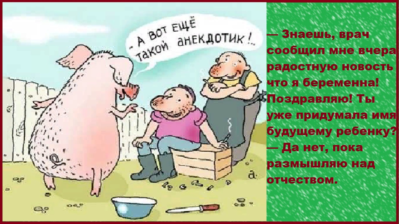 Анекдоты смешные до слёз ! Зануда Оптимист и писсимист !