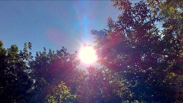 Международные организации. О беззастенчивых попираниях всех международных прав.